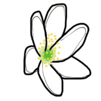 Om Forlaget Symra – Symra